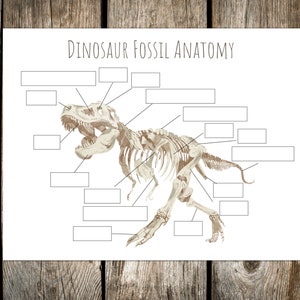 DINOSAUR Anatomy, Poster and Labeling Activity, Homeschool, Instant ...