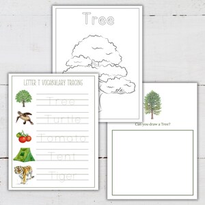 LETTER of the WEEK, T is for Tree, Letter T Activities, Alphabet ...