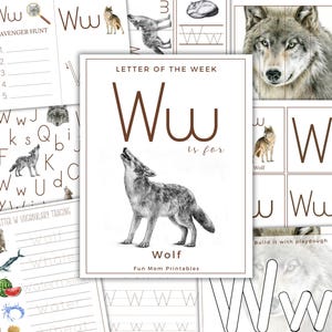 LETTER of the WEEK, W is for Wolf, Letter W Activities, Alphabet ...