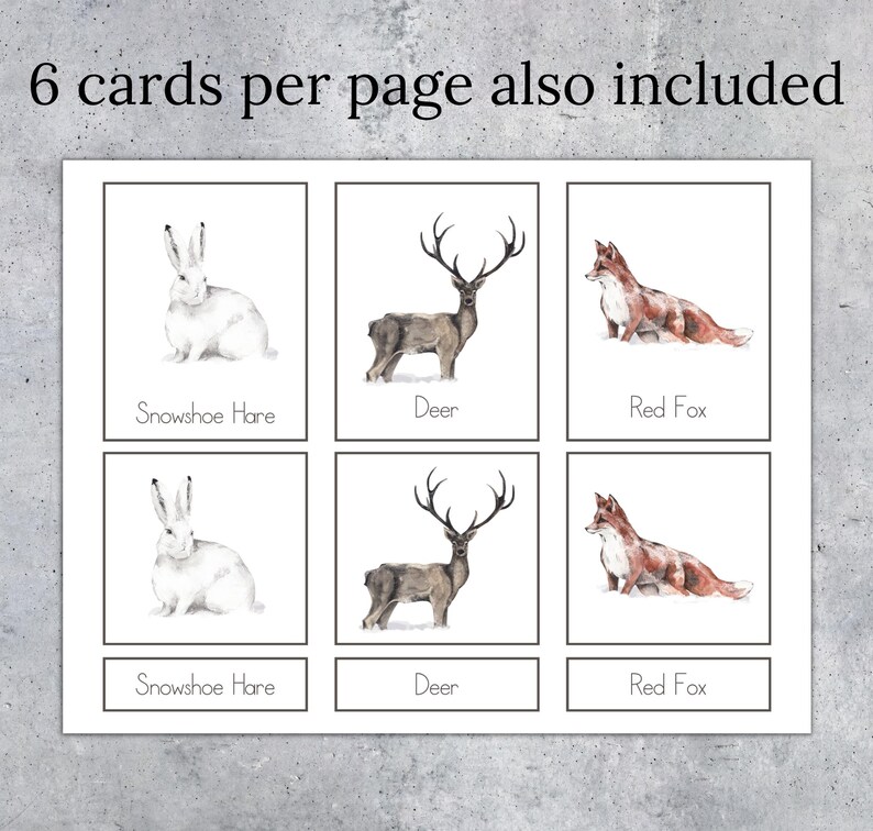 WINTER FOREST Animals Montessori 3 Part Cards. Preschool Vocabulary ...