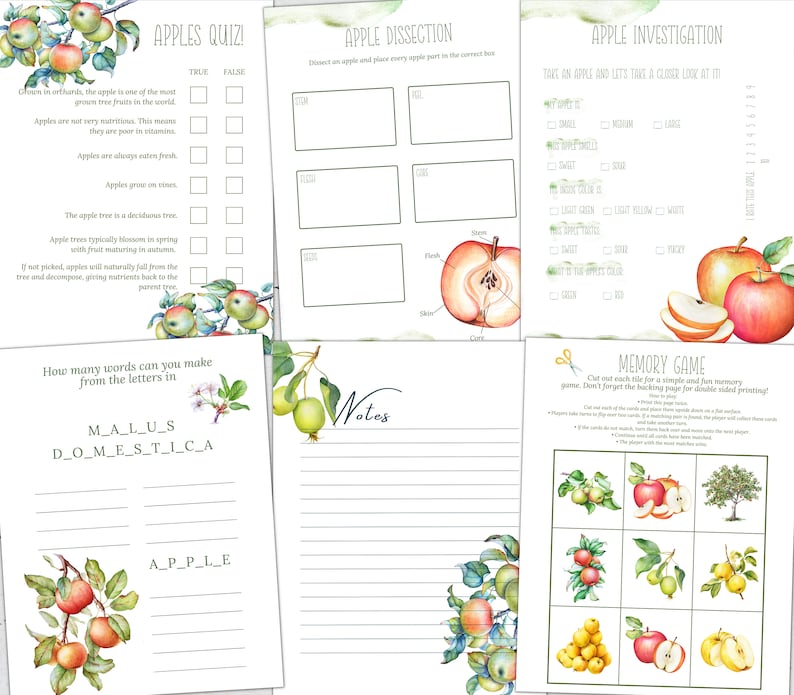 APPLE Unit Study, Life Cycle, Anatomy, Nature Study, Science ...