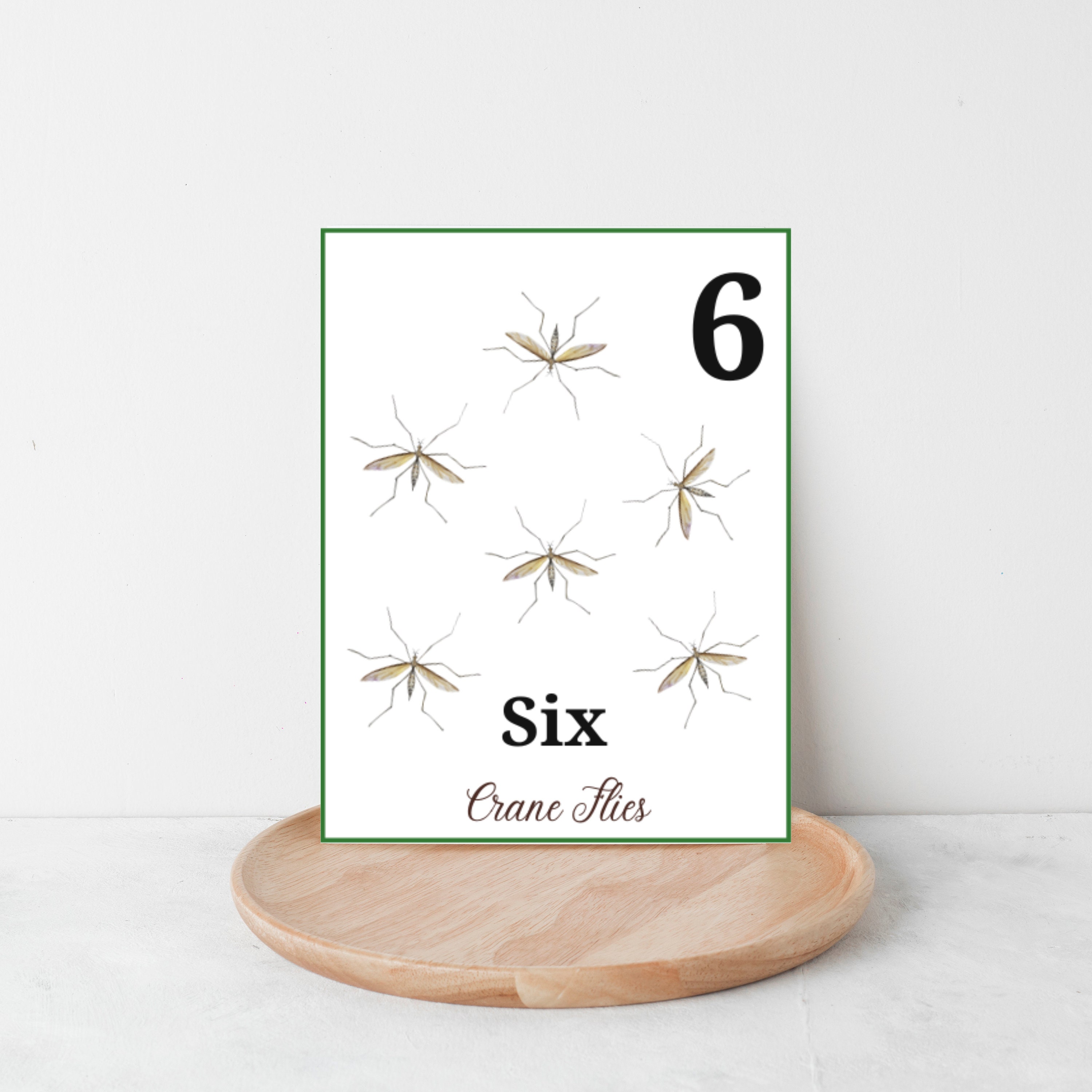 1 to 20 Minibeast Counting Cards, Bugs, Insects, Nature, Digital DIY ...
