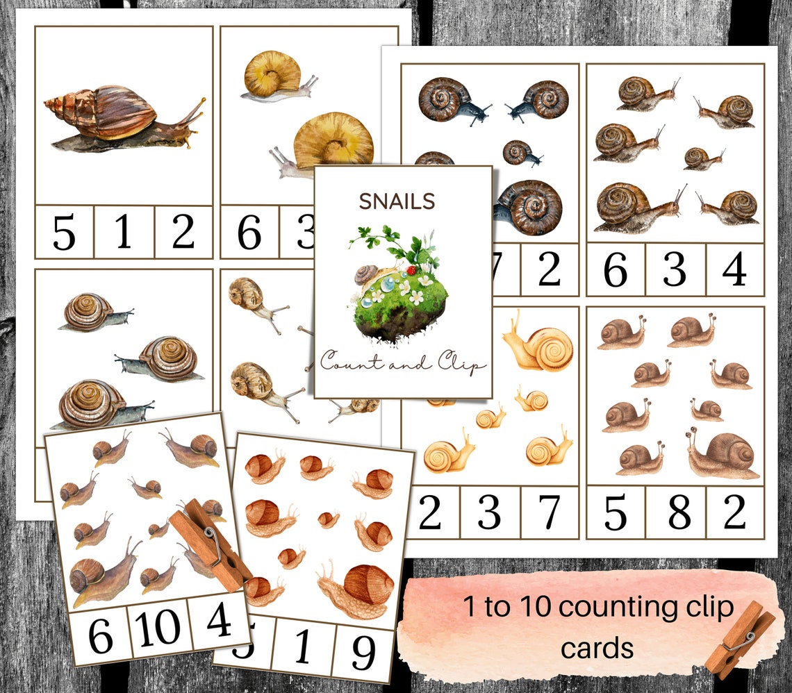 SNAIL Unit Study Life Cycle Anatomy Nature Study Science - Etsy