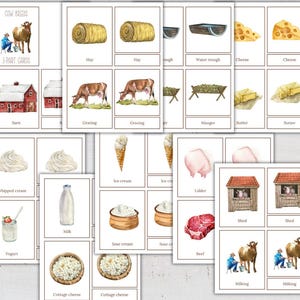 COWS Unit Study, Cattle, Life Cycle, Anatomy, Farm Animals, Nature ...