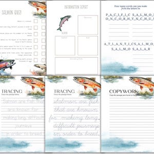 Salmon Life Cycle Unit Study: Homeschool Science Printable (INSTANT ...
