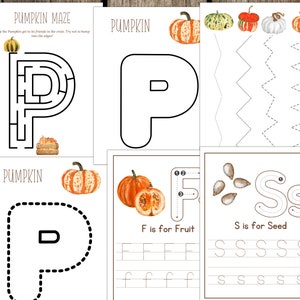 PUMPKIN Unit Study Life Cycle Anatomy Nature Study - Etsy