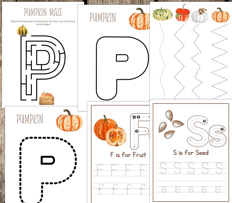 PUMPKIN Unit Study Life Cycle Anatomy Nature Study - Etsy