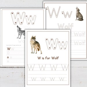 LETTER of the WEEK, W is for Wolf, Letter W Activities, Alphabet ...