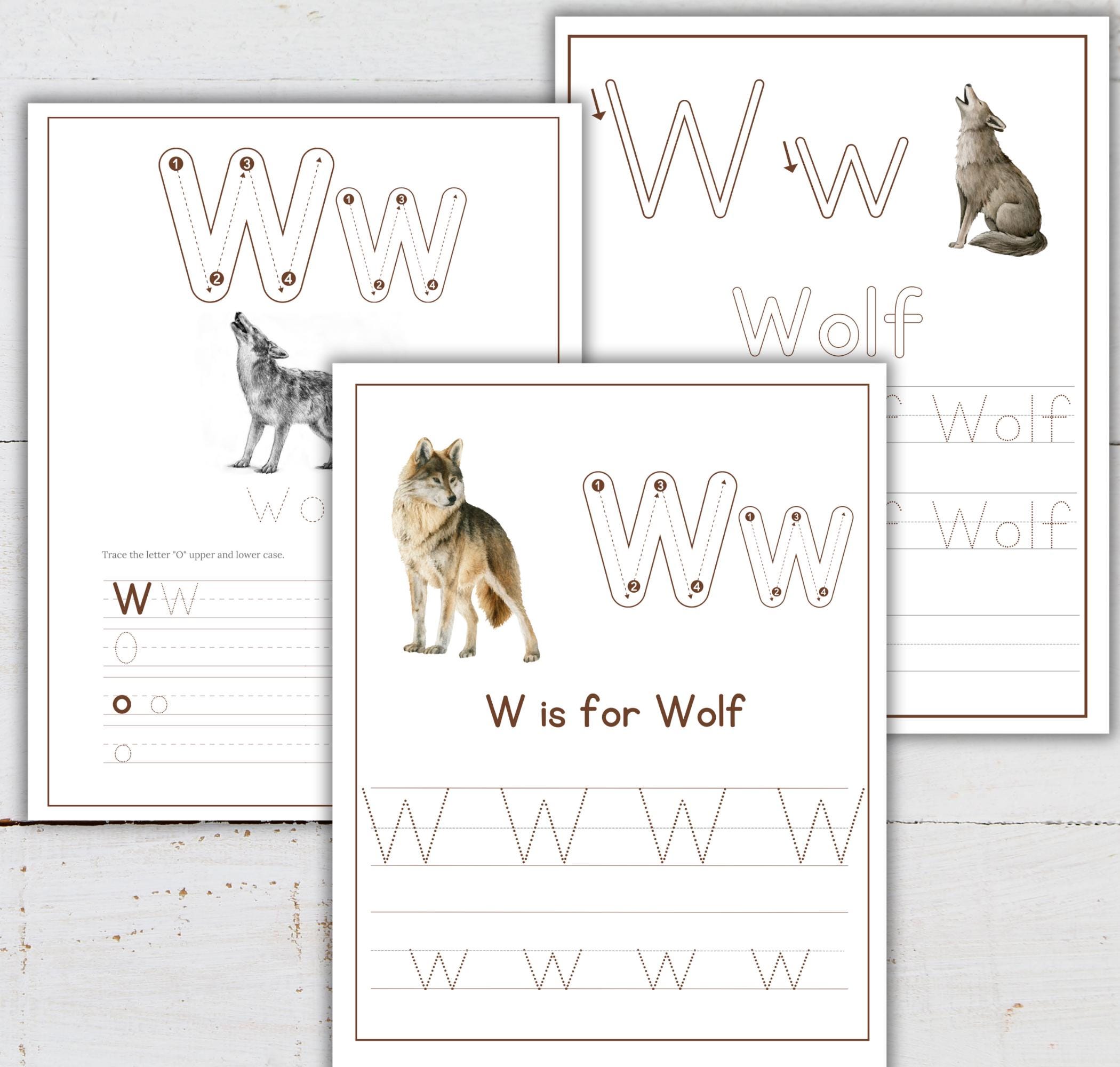 Letter W Wolf Learning Activities: Alphabet Printable (instant Download ...