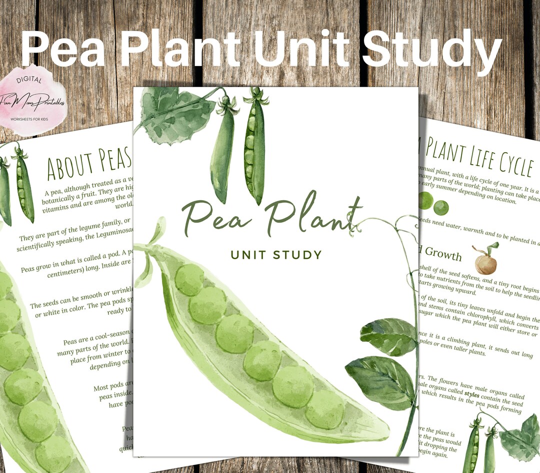 PEA Plant Unit Study, Life Cycle, Anatomy, Nature Study, Science ...