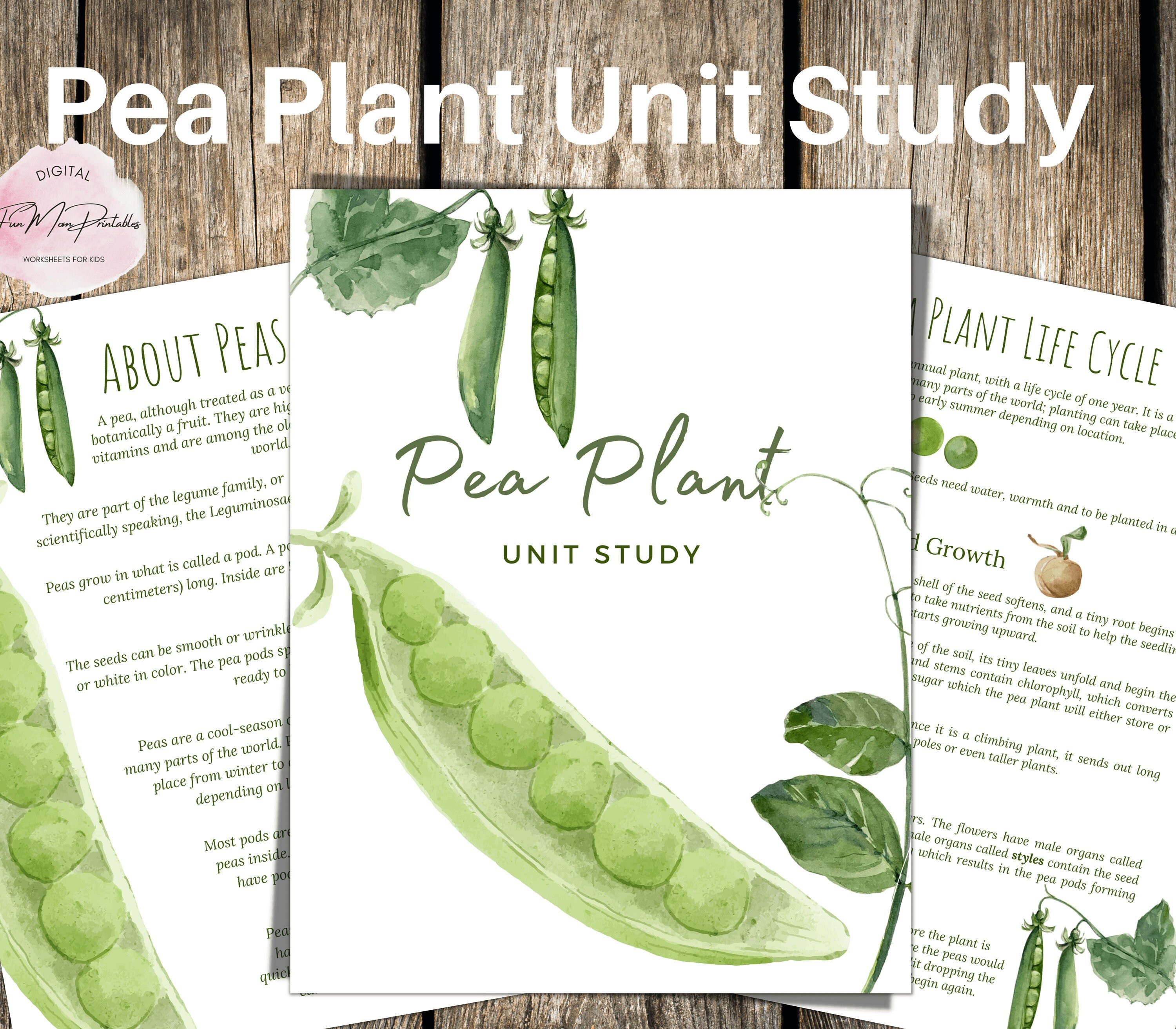 PEA Plant Unit Study Life Cycle Anatomy Nature Study - Etsy Singapore