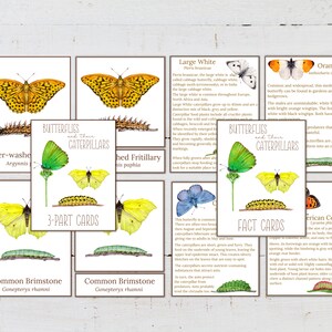BUTTERFLIES and CATERPILLARS Mini Poster + 3-part Cards + Fact Cards ...
