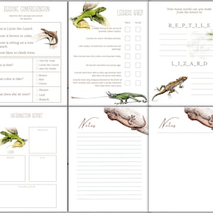 LIZARD Unit Study, Anatomy, Nature Study, Science, Handwriting ...