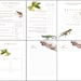 LIZARD Unit Study, Anatomy, Nature Study, Science, Handwriting ...