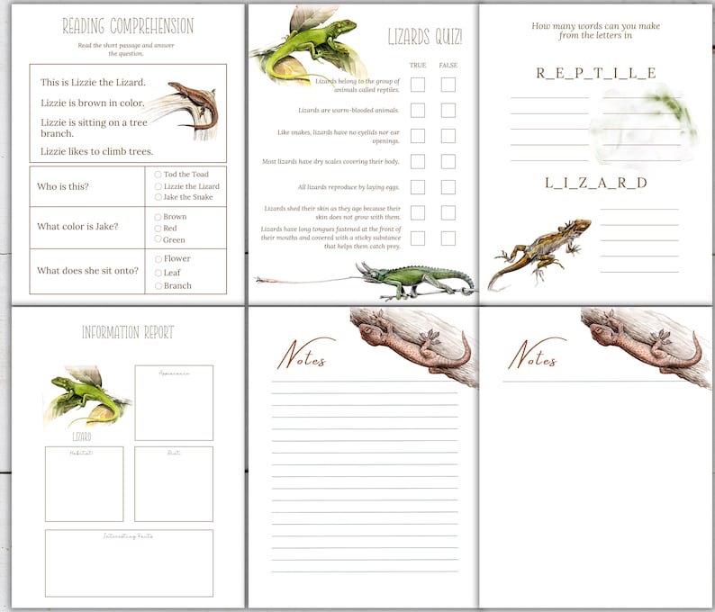 LIZARD Unit Study, Anatomy, Nature Study, Science, Handwriting ...