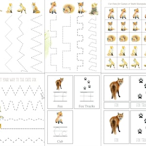 Red Fox Unit Study: Life Cycle, Anatomy, Homeschool Printable (instant ...