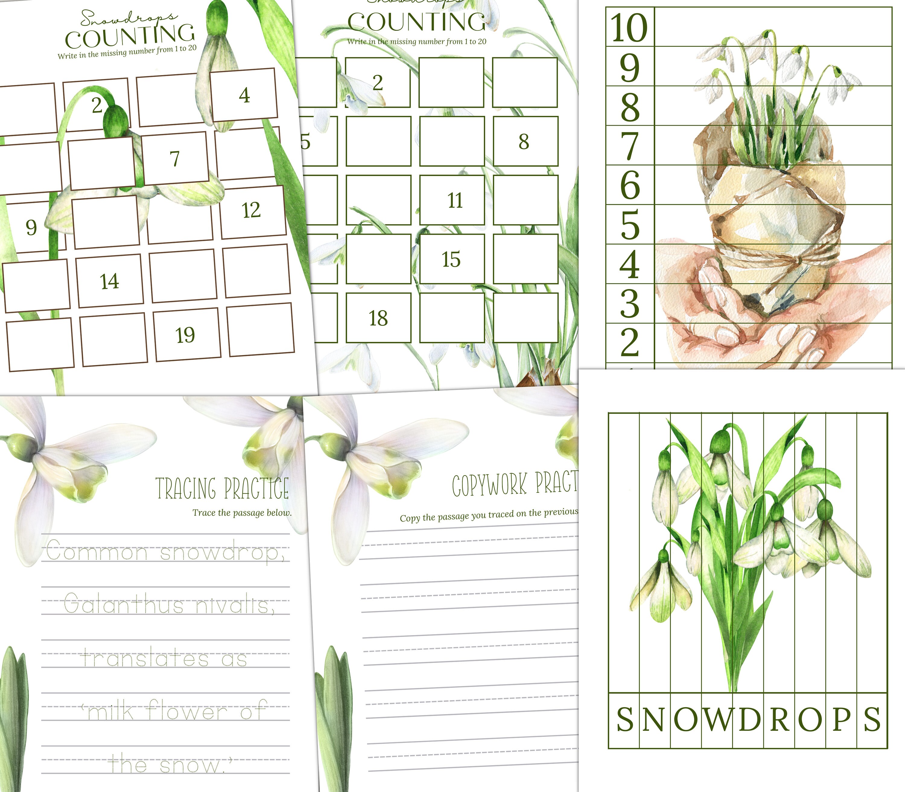 SNOWDROP Unit Study Life Cycle Anatomy Nature Study - Etsy UK