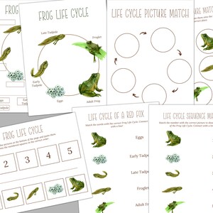 FROG Unit Study, Life Cycle, Anatomy, Nature Study, Science ...