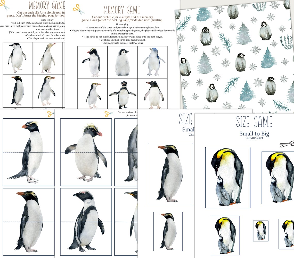 Penguins Unit Study: Life Cycle, Anatomy, Homeschool Printable (instant ...