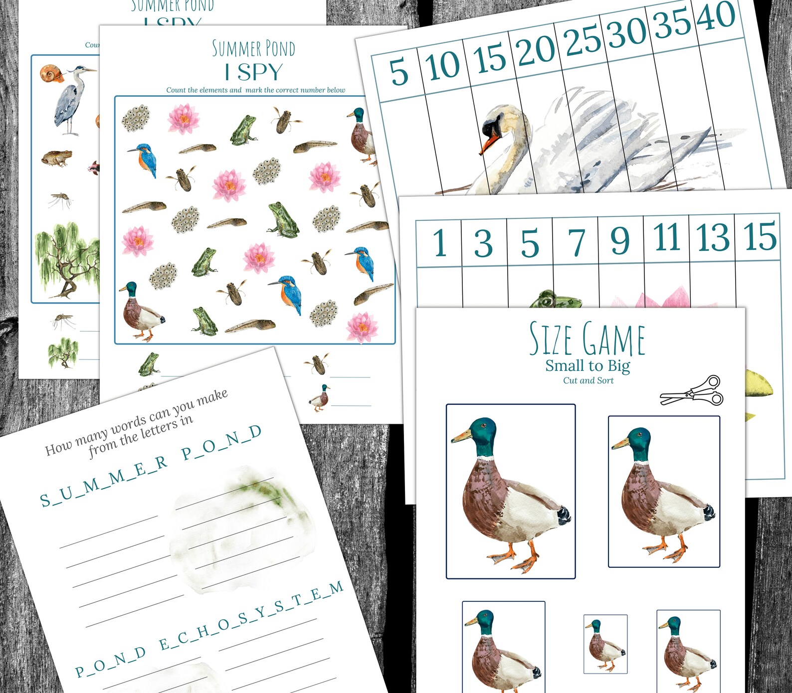 POND Unit Study Animals and Plants Unit Life Cycle Anatomy - Etsy