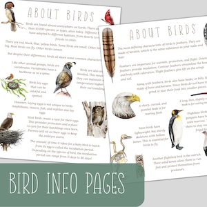 BIRD Unit Study, Life Cycle, Anatomy, Nature Study, Science ...