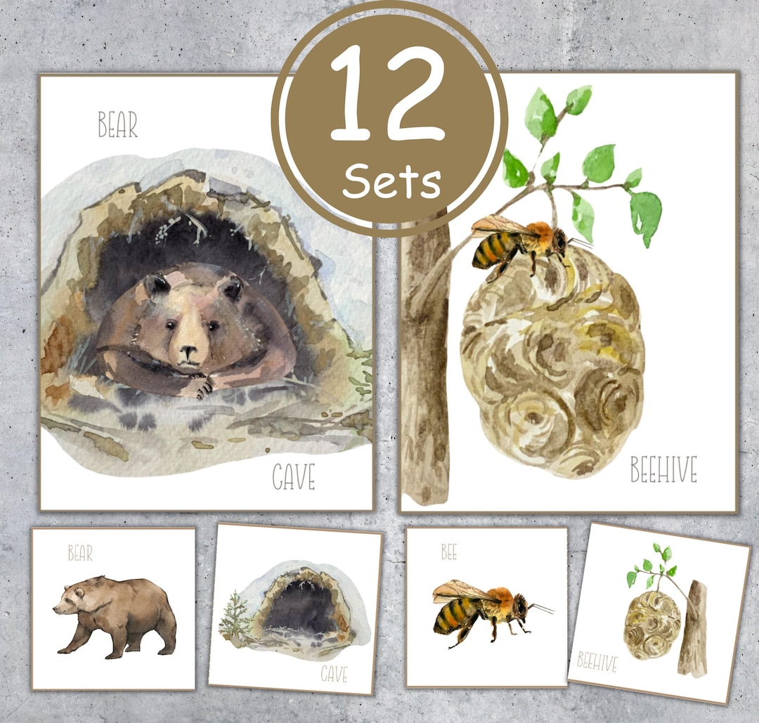 ANIMAL HOMES Flashcards and Matching Activity, Instant Download - Etsy