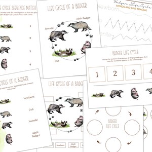 Badger Unit Study: Homeschool Science, Anatomy & Life Cycle (printable ...