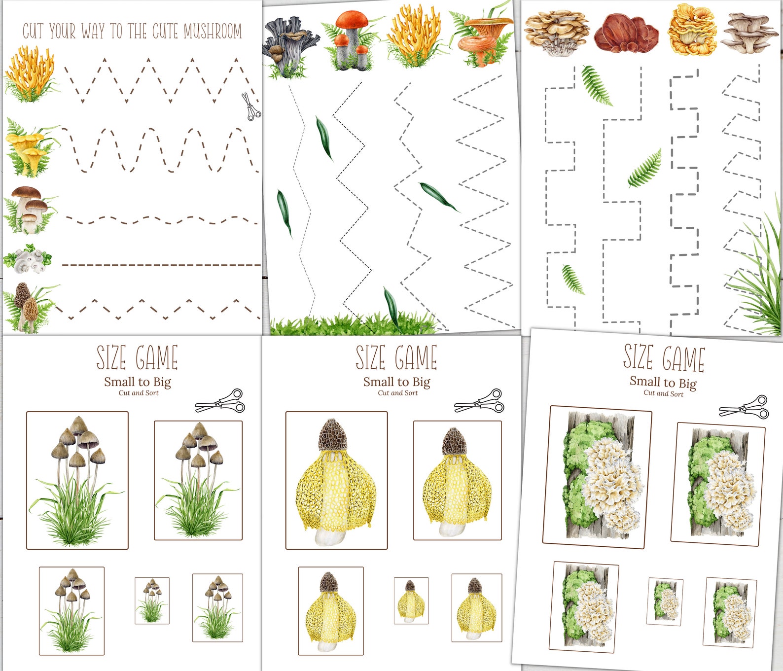 Mushroom Unit Study: Life Cycle, Anatomy, Homeschool Printable (instant ...