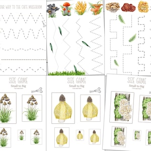 Mushroom Unit Study: Life Cycle, Anatomy, Homeschool Printable (instant ...