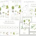 Trees Unit Study Bundle: Deciduous, Coniferous, Oak (instant Download ...