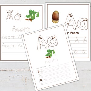 LETTER of the WEEK, A is for Acorn, Letter A Activities, Alphabet ...