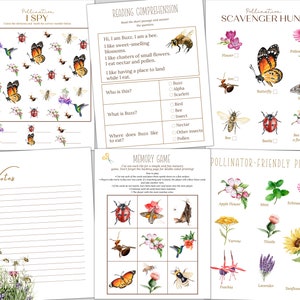POLLINATORS Unit Study, Nature Study, Science, Handwriting, Homeschool ...