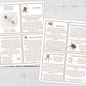 SPIDERS Mini Poster, Fact Cards and 3 Part Cards, Nature, Digital DIY ...