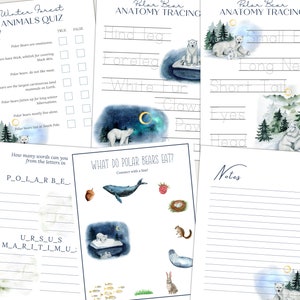 POLAR Bear Unit Study, Life Cycle, Anatomy, Nature Study, Science ...