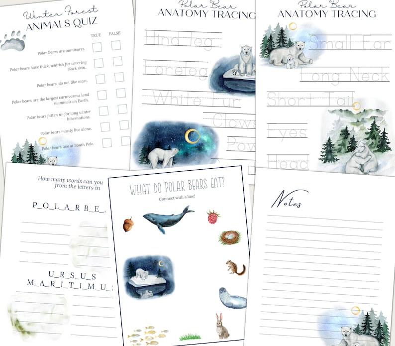 POLAR Bear Unit Study Life Cycle Anatomy Nature Study - Etsy