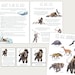 ICE AGE Unit Study, Nature Study, Science, Handwriting, Homeschool ...