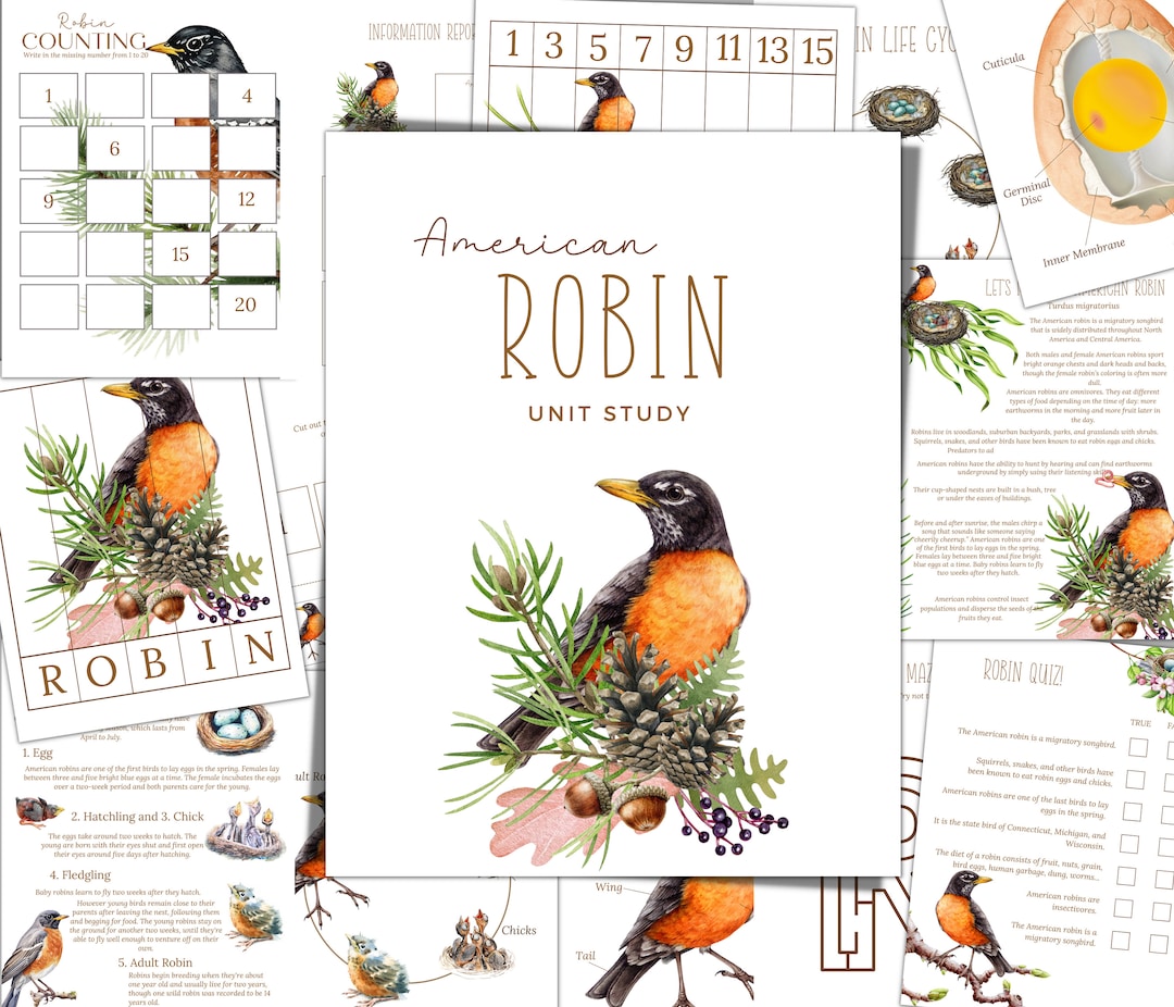 AMERICAN ROBIN Unit Study, Life Cycle, Anatomy, Nature Study, Science ...