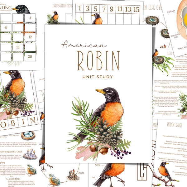 American Robin - Etsy