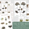 POND ECOSYSTEM Mini Poster, Fact Cards and 3 Part Cards, Nature ...