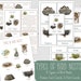 Bird Nests Fact Cards: Montessori Homeschool Poster (digital DIY) - Etsy