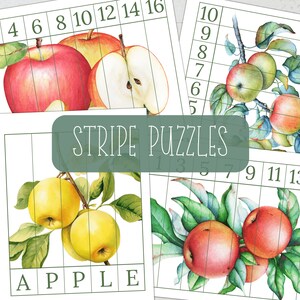 APPLE Unit Study, Life Cycle, Anatomy, Nature Study, Science ...