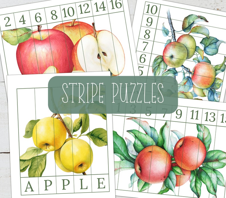 APPLE Unit Study, Life Cycle, Anatomy, Nature Study, Science ...