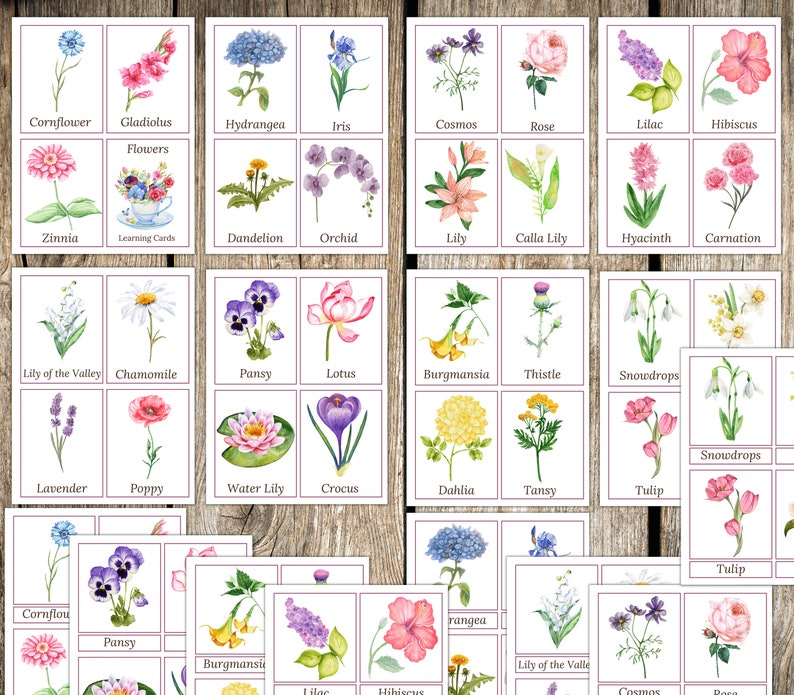 Flower 3-part Cards Recognition Cards Flowers Spring - Etsy
