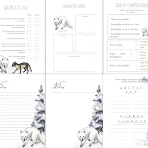 ARCTIC FOX Unit Study, Life Cycle, Anatomy, Nature Study, Science ...