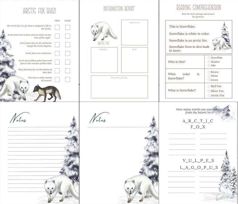 Arctic Fox Unit Study: Homeschool Science Printable (instant Download ...