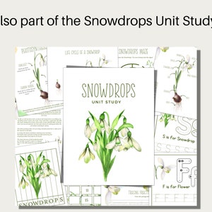 SNOWDROP Life Cycle, Nature Study, Homeschool Printable, Instant ...