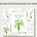 SNOWDROP Life Cycle, Nature Study, Homeschool Printable, Instant ...