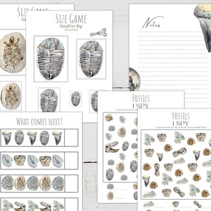 FOSSILS Unit Study, Anatomy, Nature Study, Science, Handwriting ...
