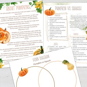 PUMPKIN Unit Study, Life Cycle, Anatomy, Nature Study, Science ...