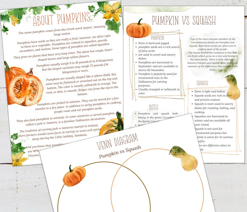 PUMPKIN Unit Study, Life Cycle, Anatomy, Nature Study, Science ...